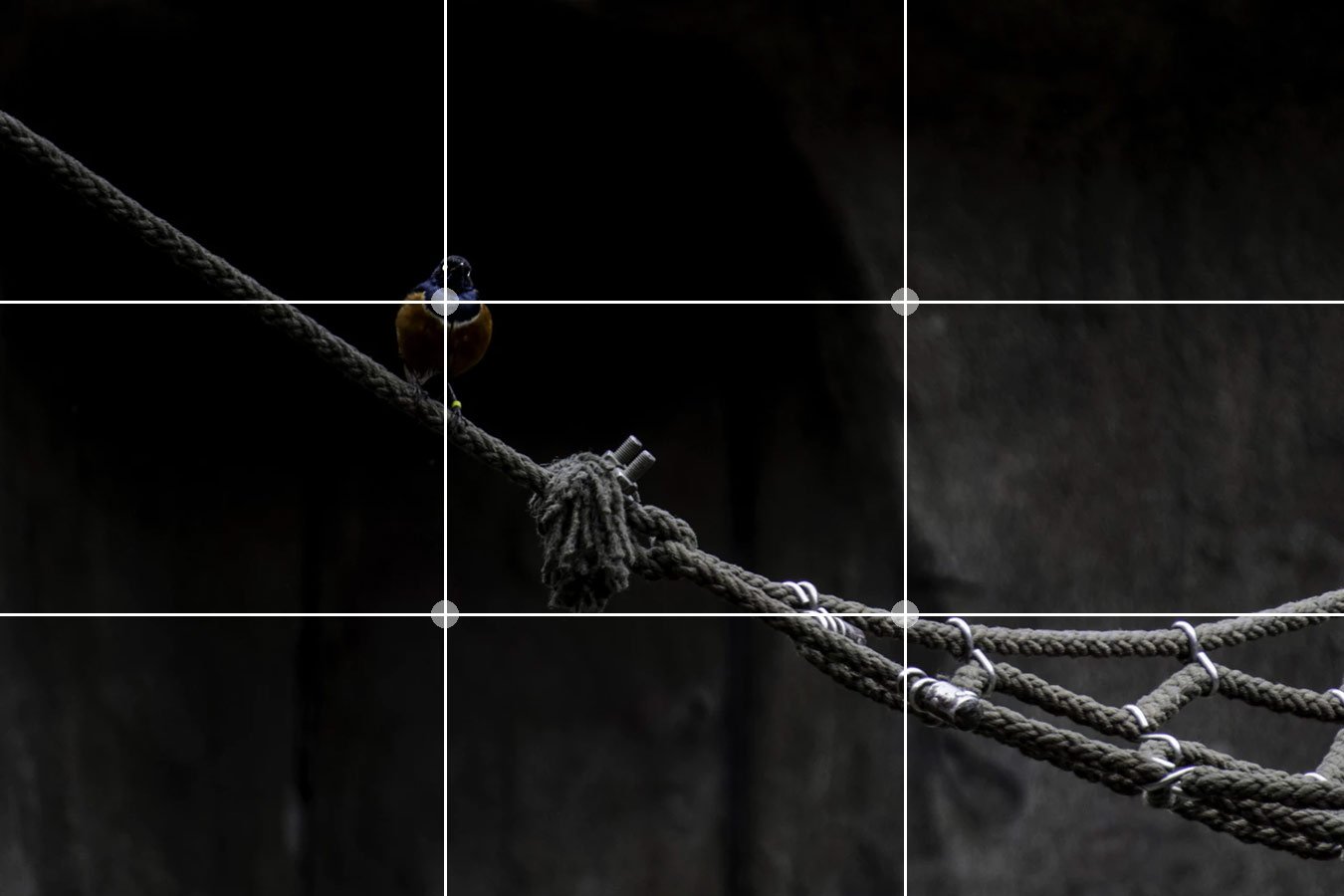 Drittelregel in der Fotografie - Erklärung und Anwendung