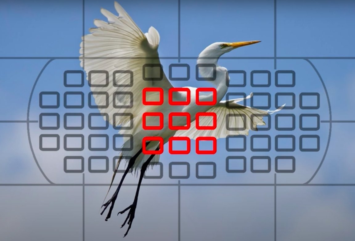 Autofokus richtig einstellen | Messfelder, Punkte und AF Modus