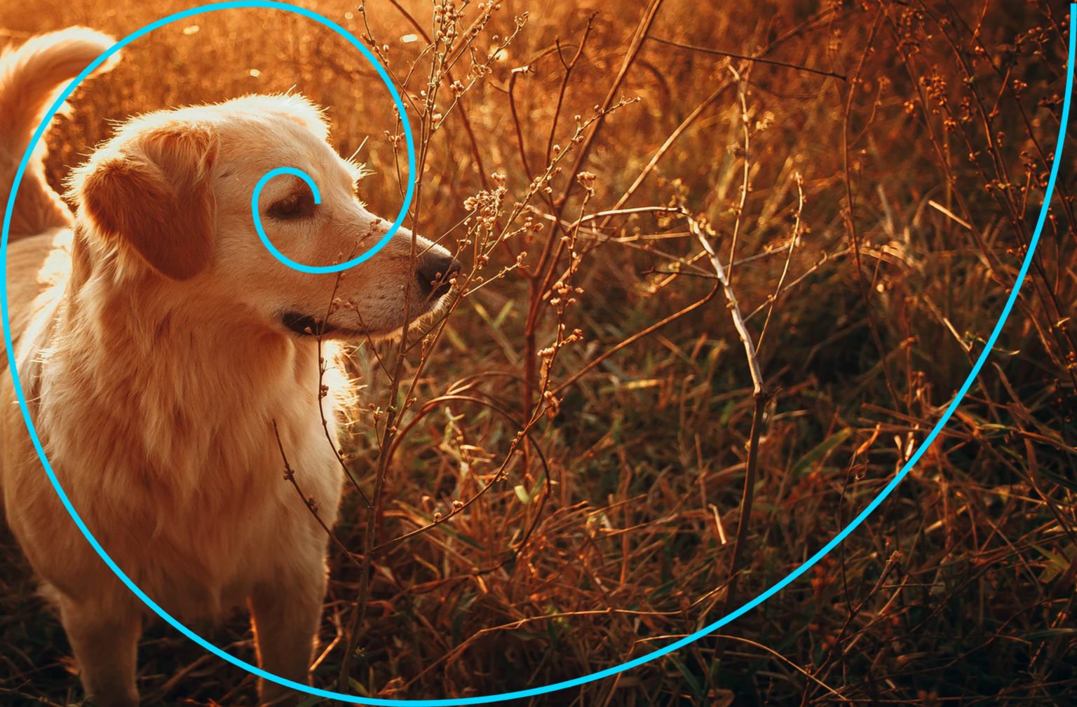 Abstrakte Fotografie ᐅ Die besten 12 Techniken und Tipps