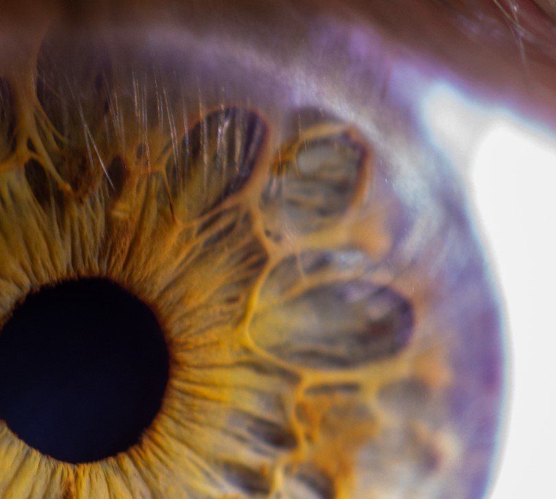 Iris Fotografie Anleitung für faszinierende Augenbilder