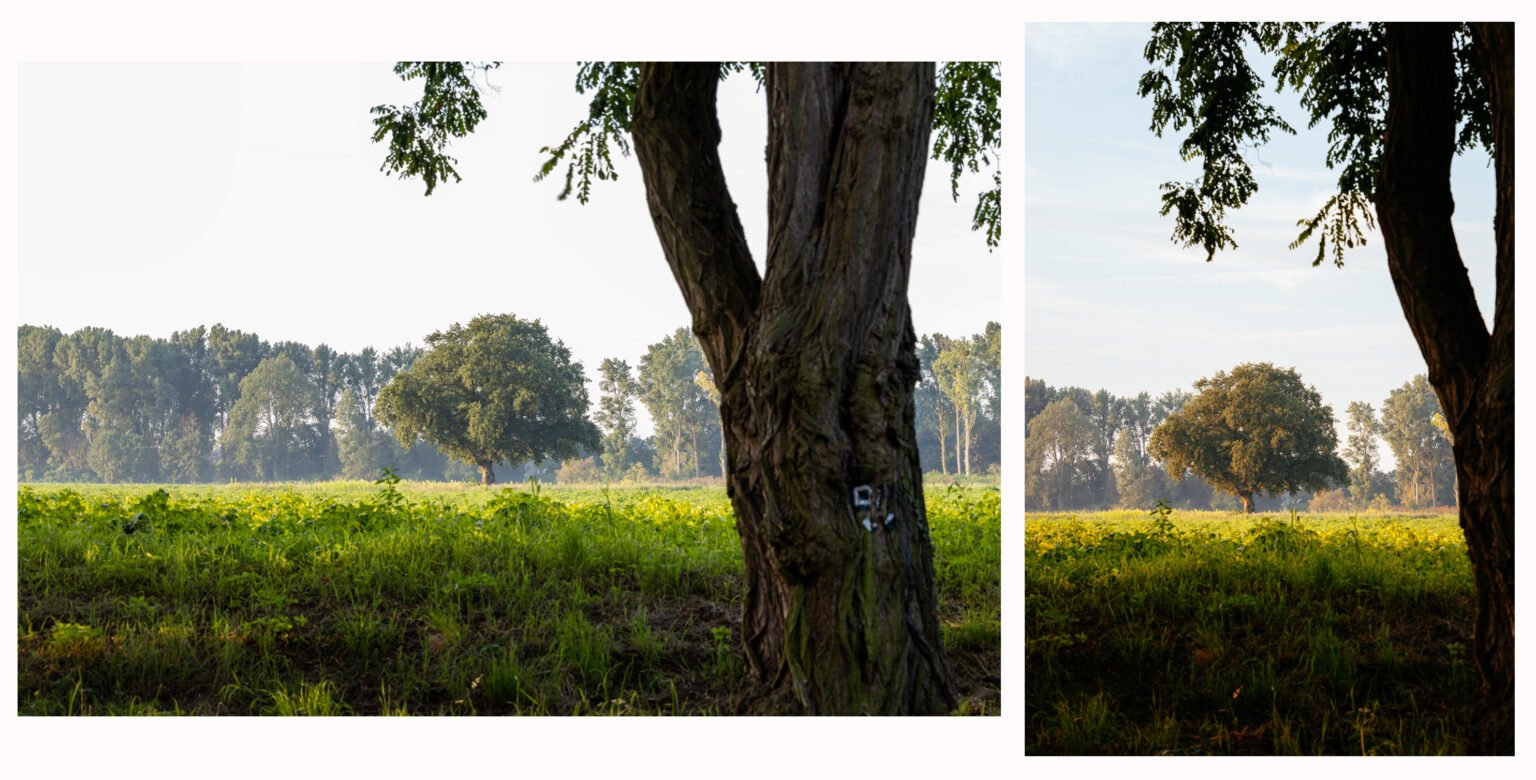 Drittelregel in der Fotografie - Erklärung und Anwendung
